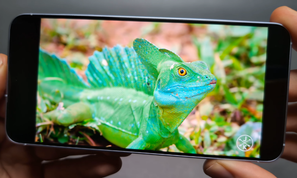 Samsung Galaxy S25 Review: Get the Inside Scoop | MobileBD